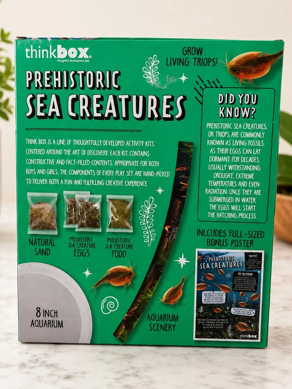 Thinkbox | Fish | Thinkbox Prehistoric Sea Creatures Kit Grow Live ...